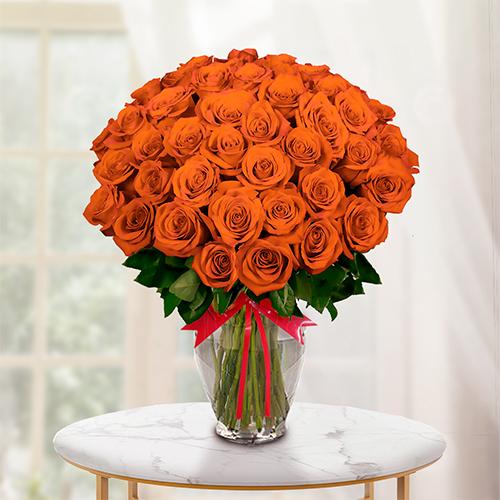 Florerias en Texas | Flores a Texas Night Wish Roses